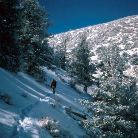 Completing a Wilderness - Wilderness Land Trust