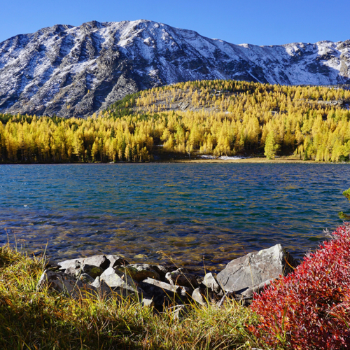 The Wilderness Land Trust Earns National Recognition - Wilderness Land ...