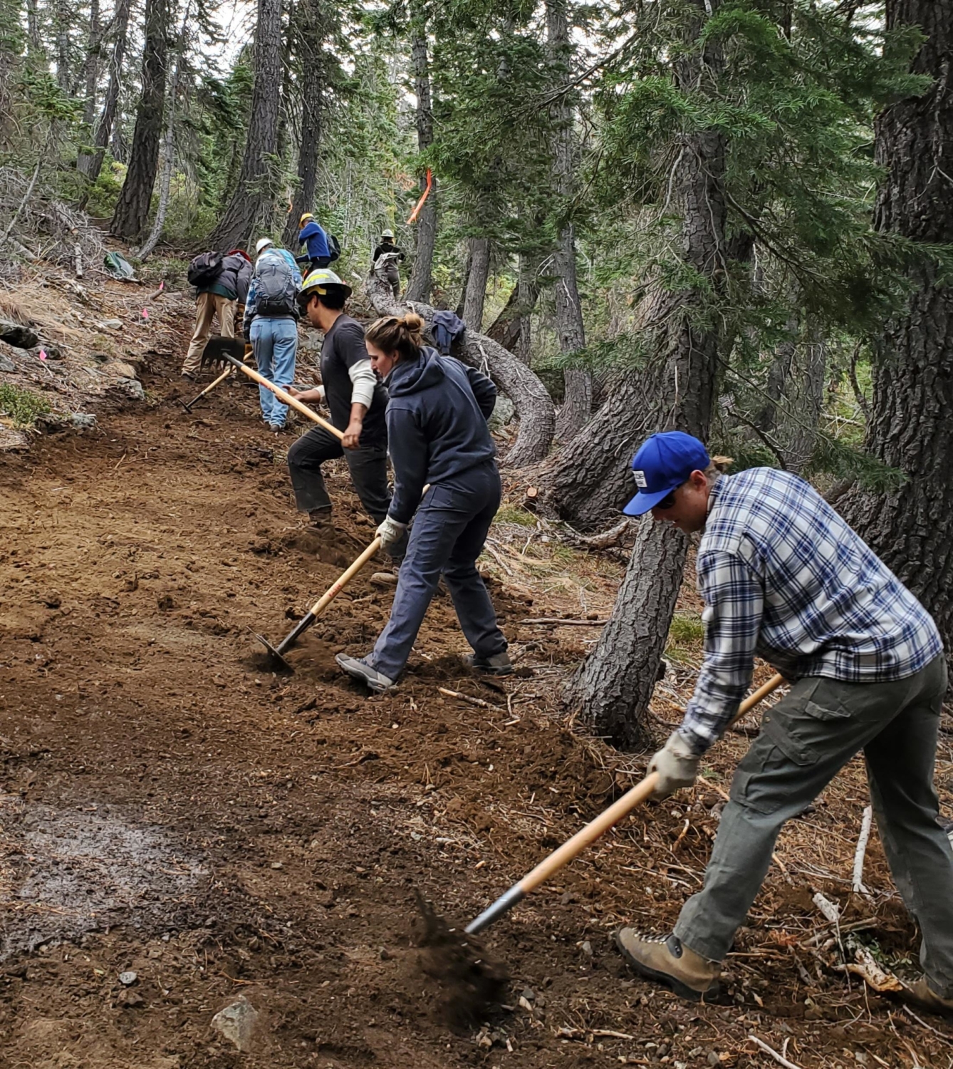 A New Trail Emerges in the Wilderness - Wilderness Land Trust