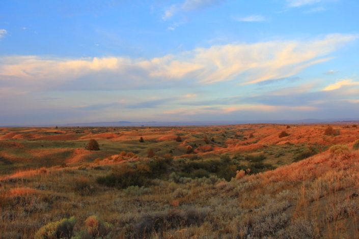 Another Wilderness Designation Now Complete - Wilderness Land Trust