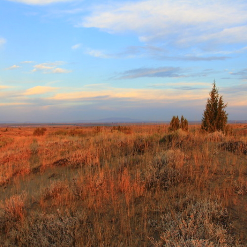Another Wilderness Designation Now Complete - Wilderness Land Trust