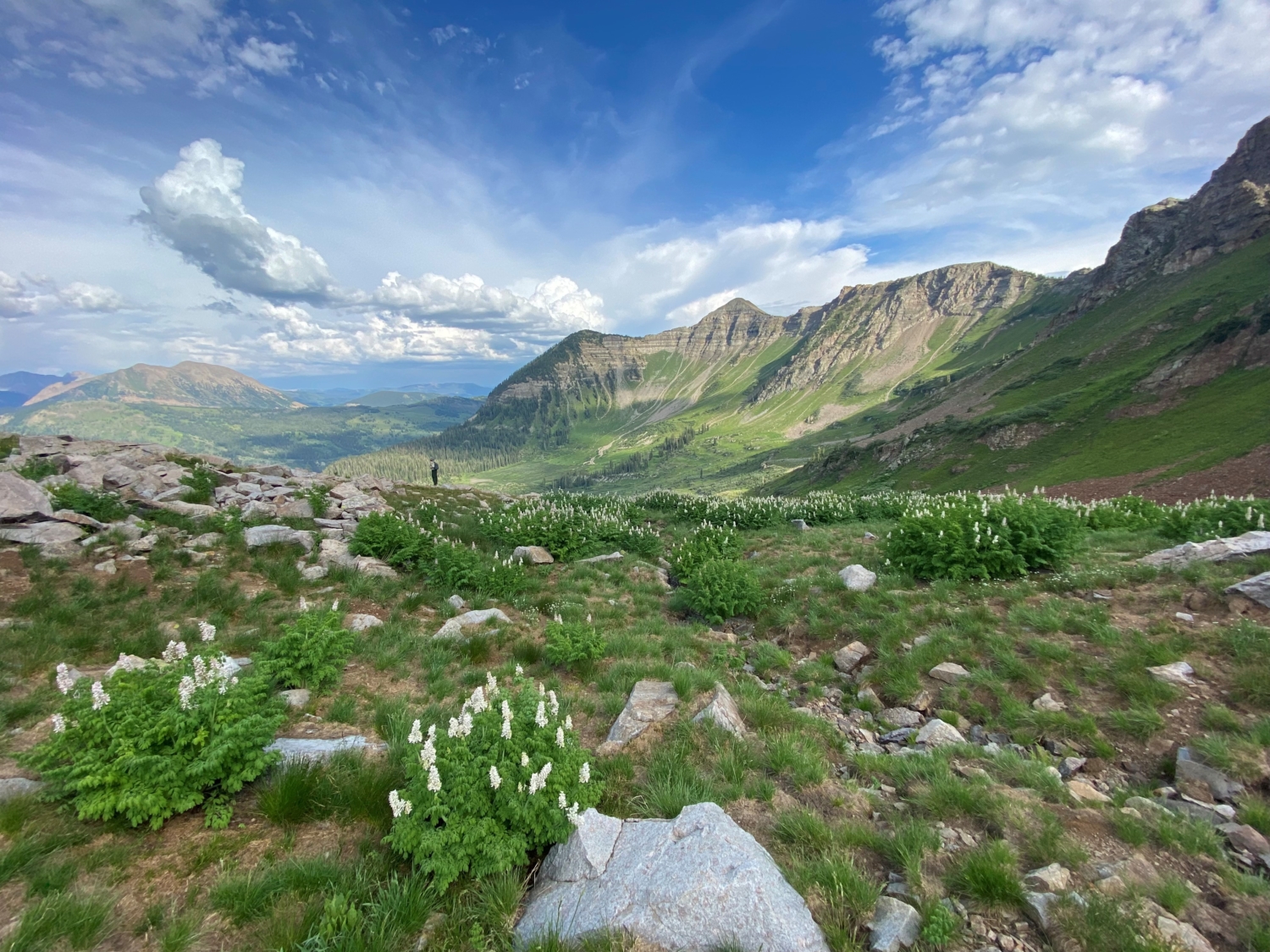 Summertime Site Visits - Wilderness Land Trust