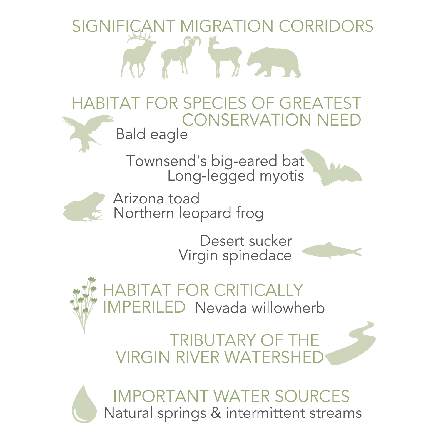 Protect Cougar Canyon - Wilderness Land Trust