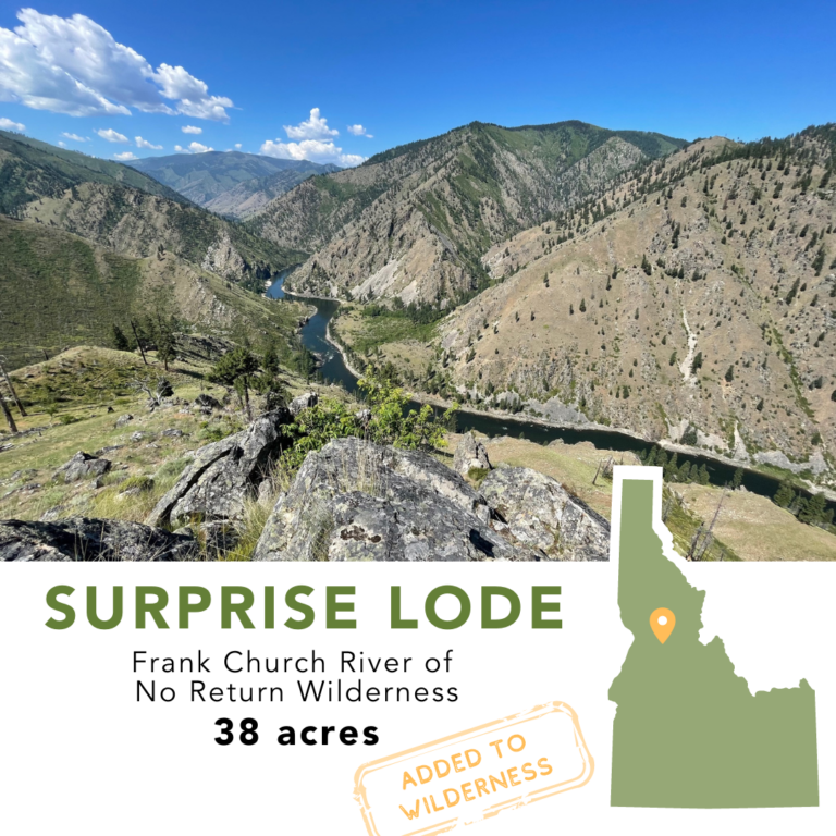 News | The Wilderness Land Trust News | Articles About Us and ...