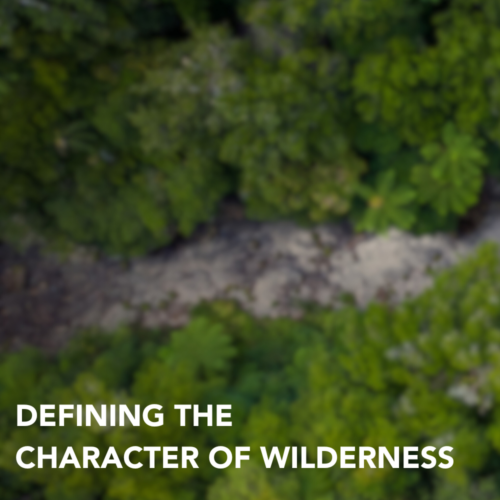 What it means to keep our wilderness wild: defining the character of ...