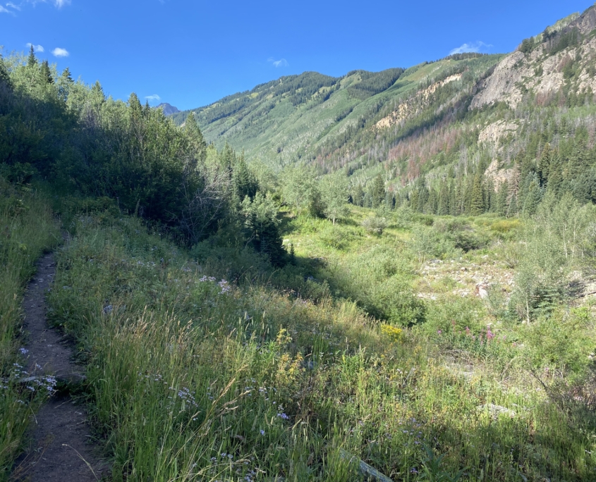 The Wilderness Land Trust | A Non-Profit Wilderness Preservation ...