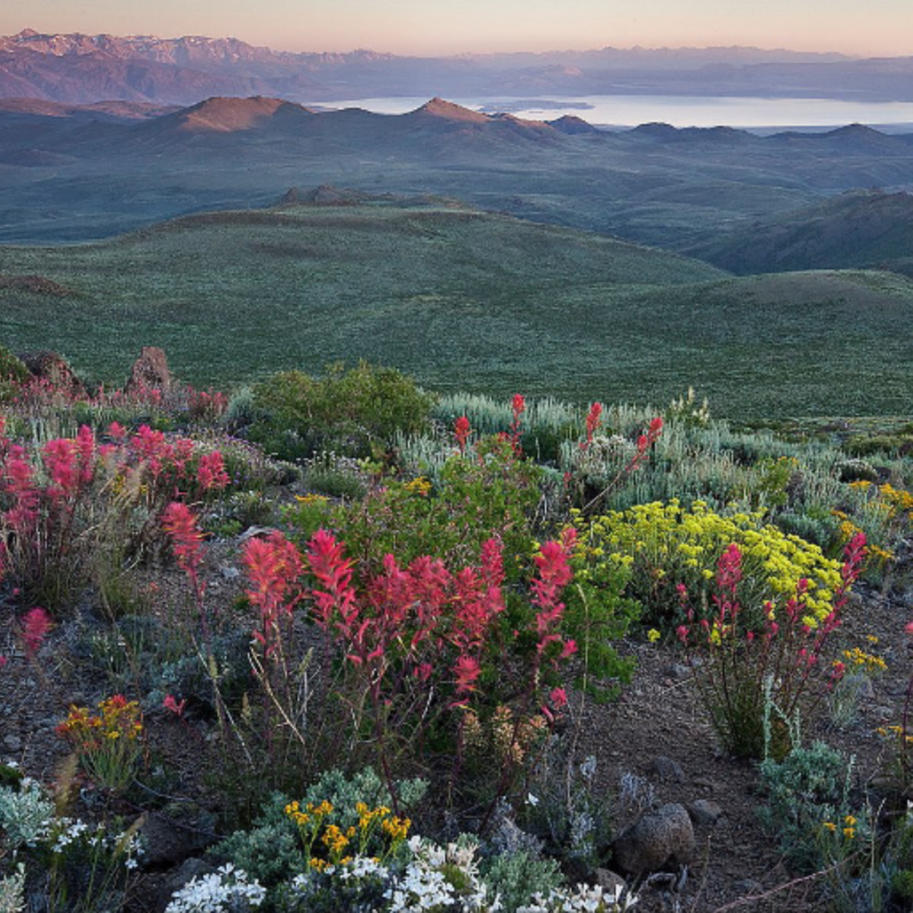 Washington State | The Wilderness Land Trust | Projects