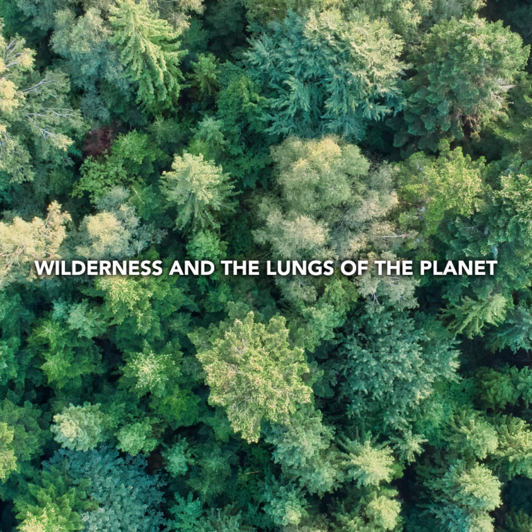 Wilderness and the lungs of the planet - Wilderness Land Trust
