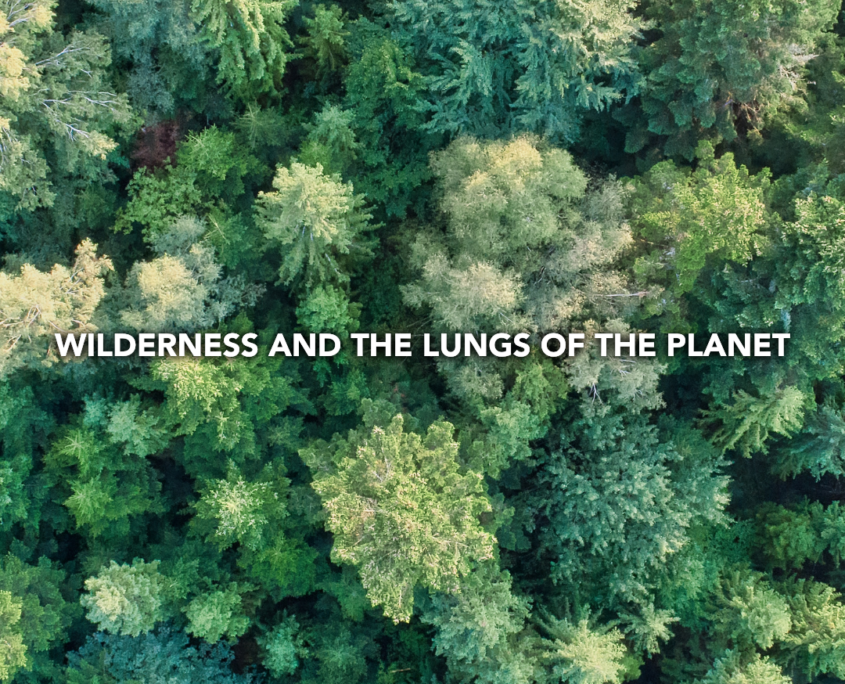 The Wilderness Land Trust | A Non-Profit Wilderness Preservation ...