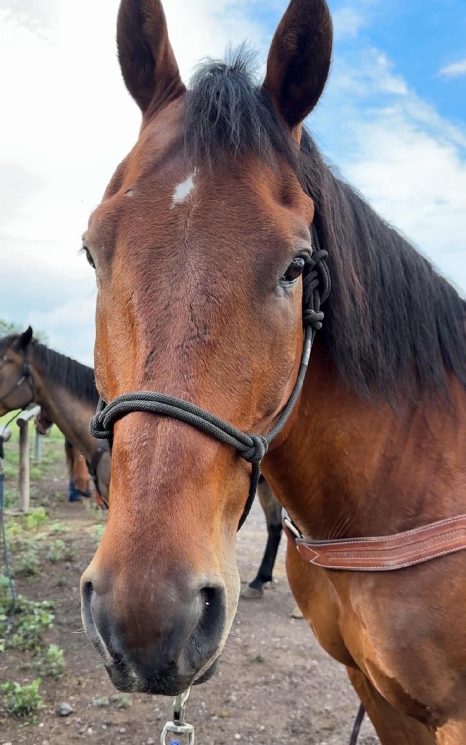Utah Archives - Wilderness Land Trust