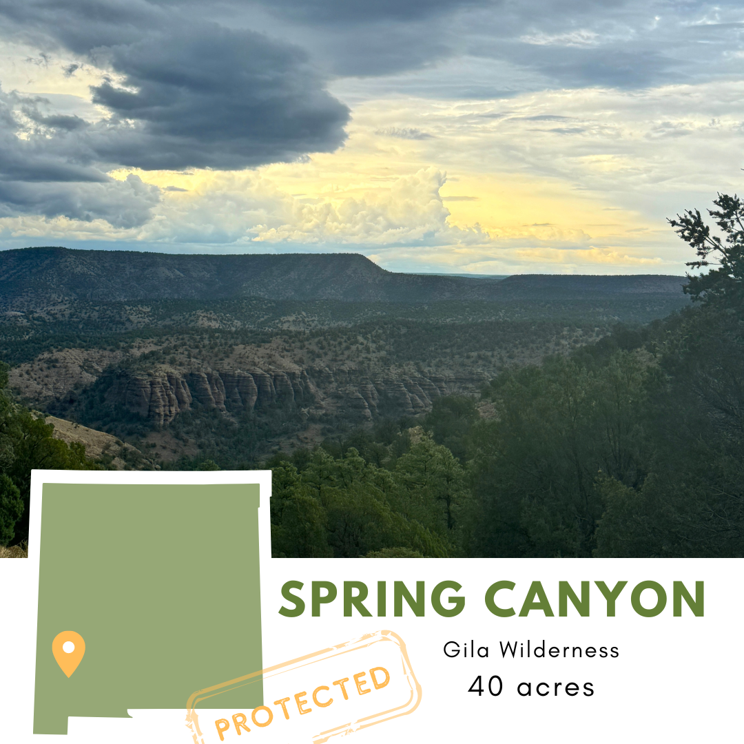 Come along to the recently protected Spring Canyon project - Wilderness ...