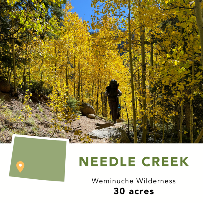 Public access to Colorado's Chicago Basin protected! - Wilderness Land ...