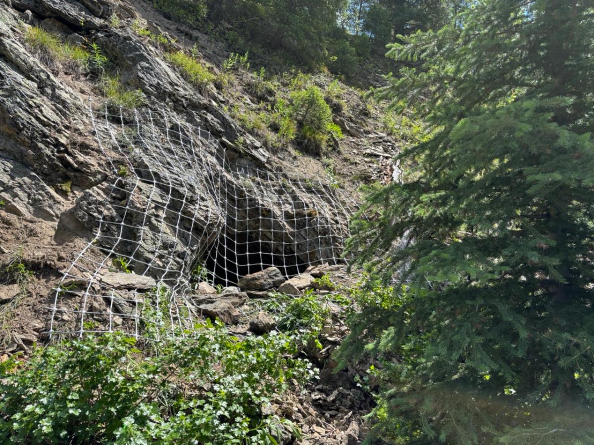 Protecting bat habitat in the Frank Church River of No Return ...
