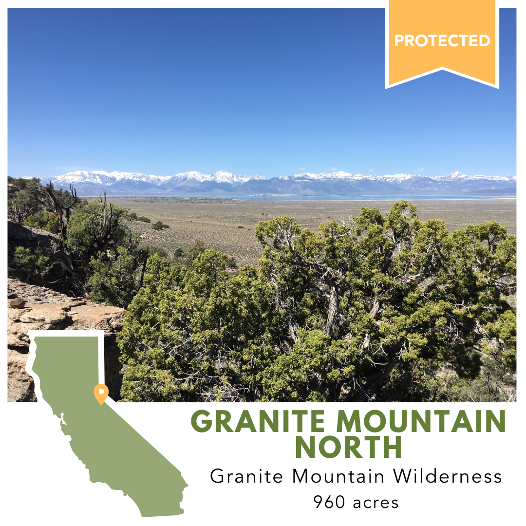 960 acres protected in California's Bodie Hills - Wilderness Land Trust